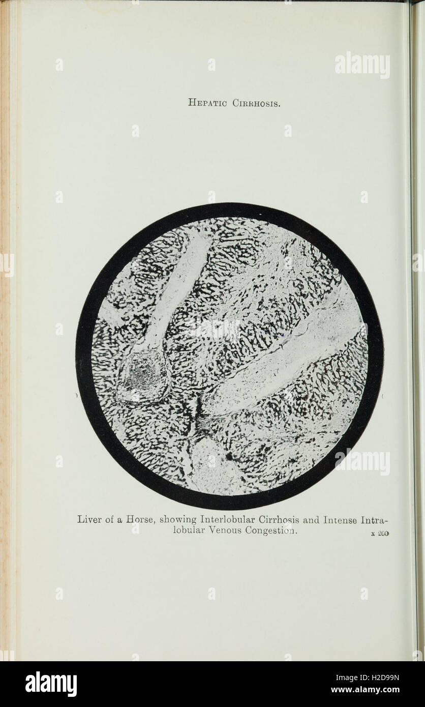 A report detailing the activities and scientific advancements made by ...