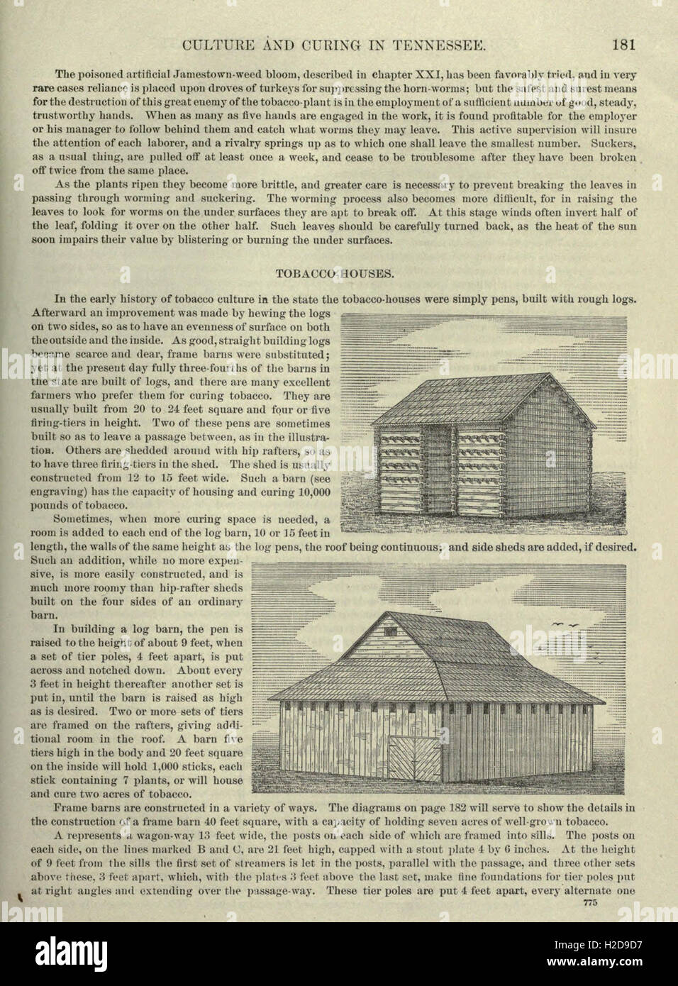 This report discusses the methods of tobacco cultivation and curing in ...