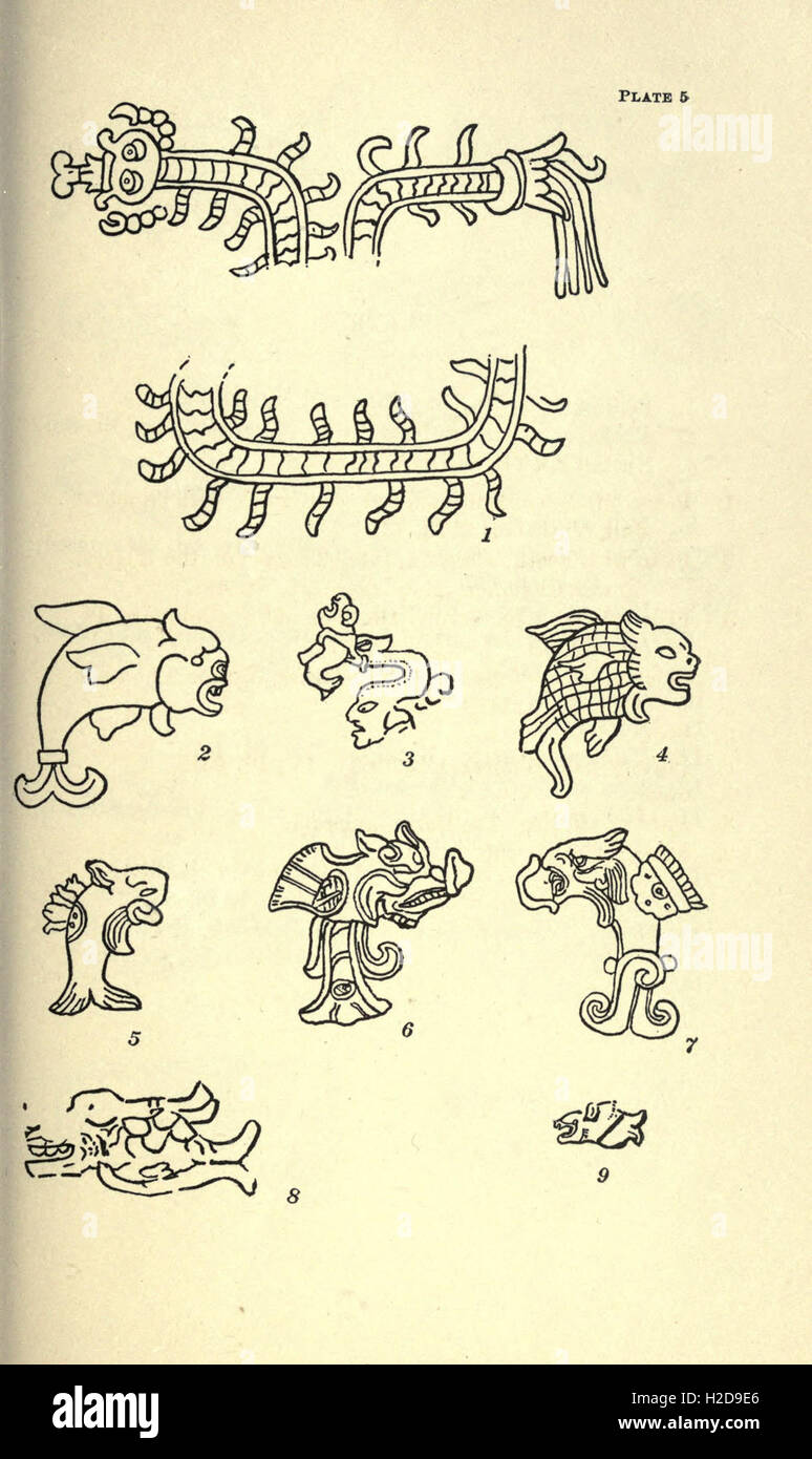 An exploration of animal depictions found in ancient Maya codices ...