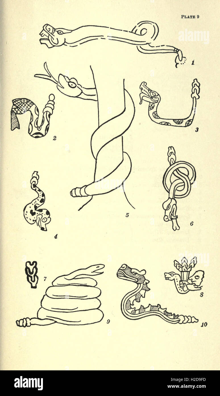 This work explores the depictions of animals in ancient Maya codices ...