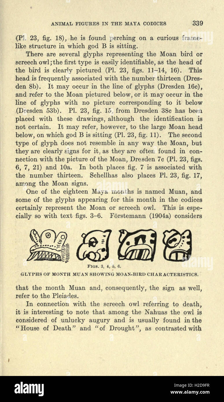 Mayan symbols of animals hi-res stock photography and images - Alamy