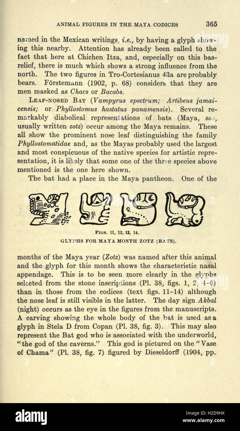 A study of the animal depictions found in the ancient Maya codices ...
