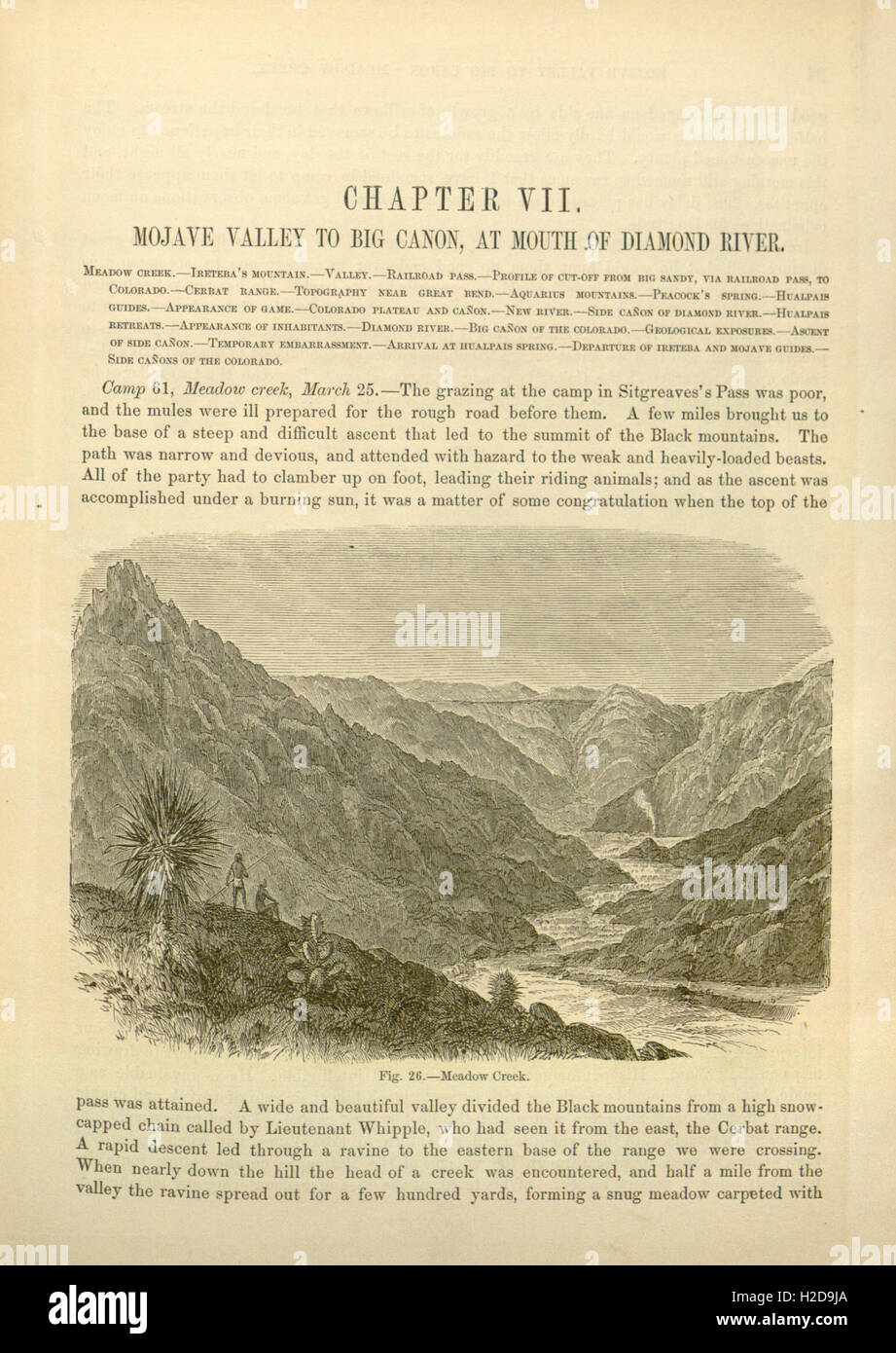 A report detailing the geographical and ecological features of the ...