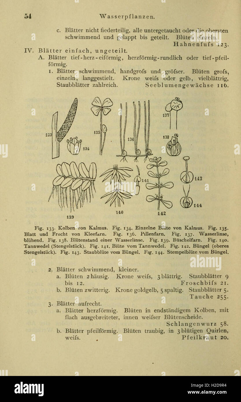 A guide on how to collect and preserve plant specimens, providing ...