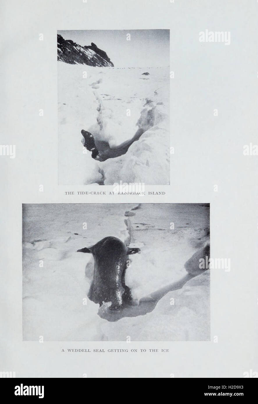 This account of Robert Falcon Scott's last expedition to the Antarctic ...