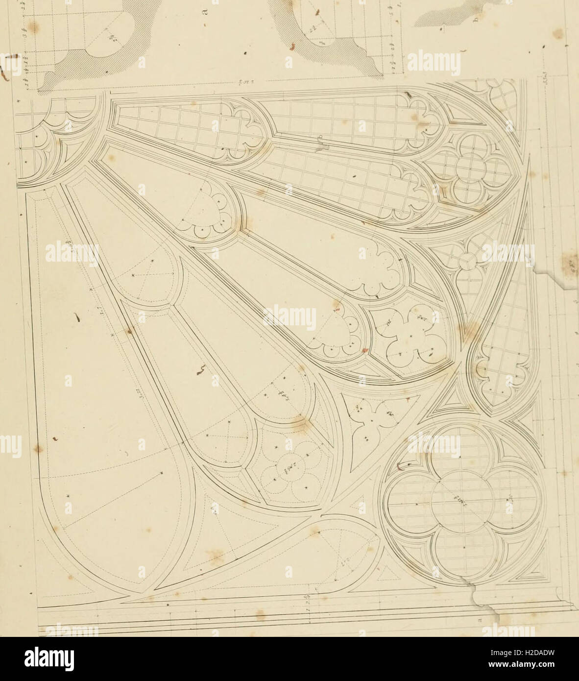 This work presents selected specimens of Gothic architecture ...