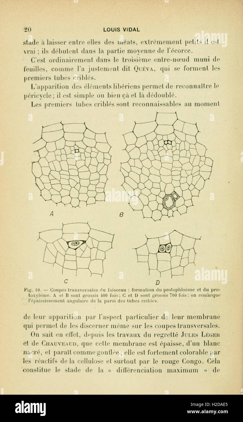 This scientific journal covers a broad spectrum of natural science ...