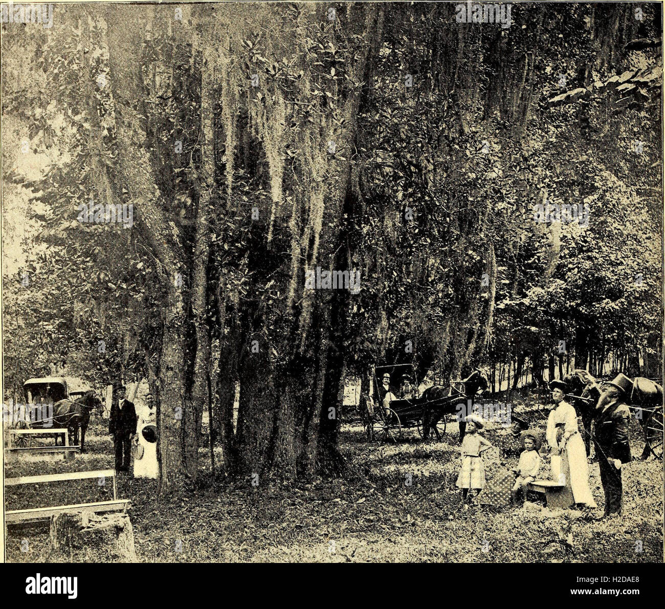 This 1895 souvenir album documents the history and reunions of a ...