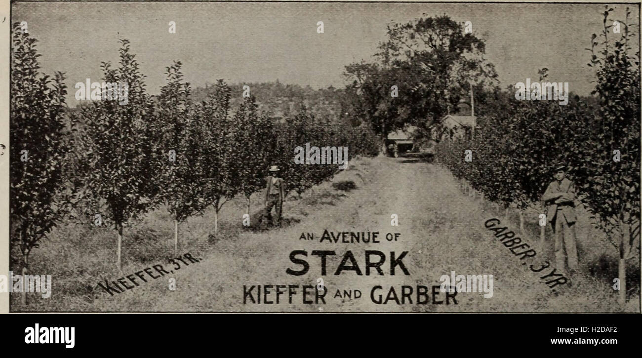 Stark map hi-res stock photography and images - Alamy