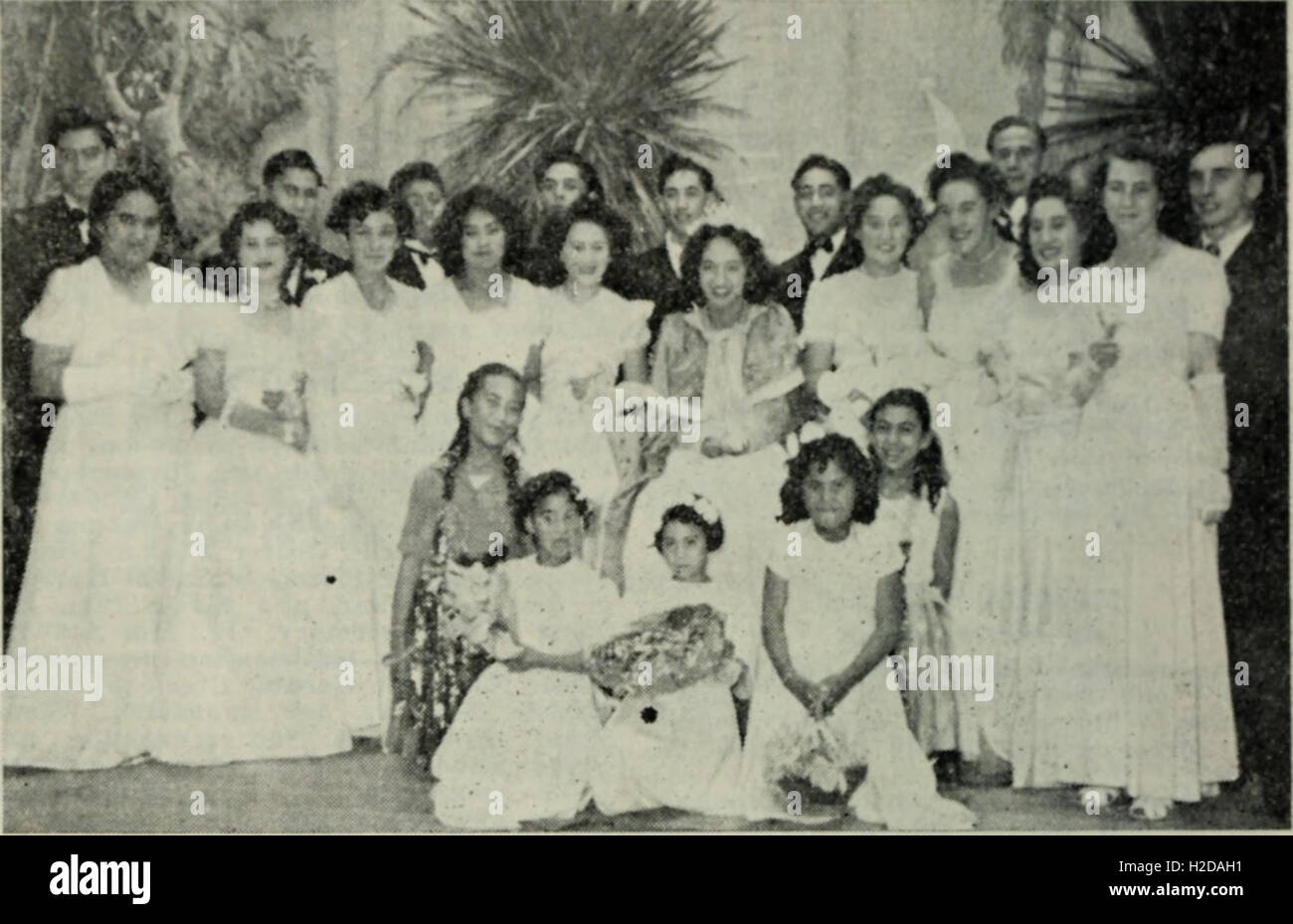 Maori social movement hi-res stock photography and images - Alamy