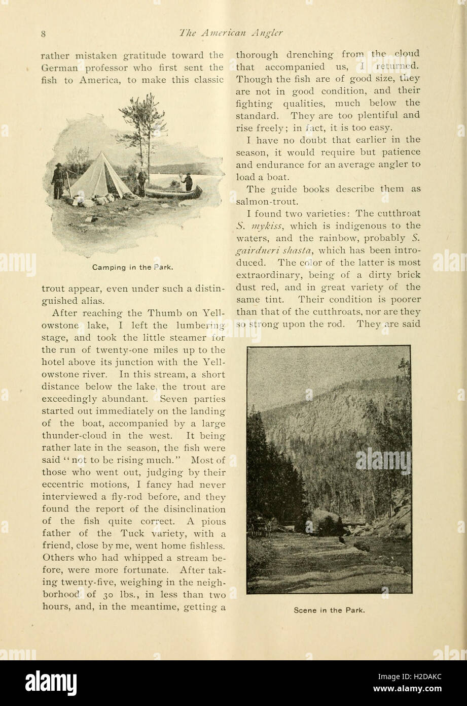 The American angler (Page 8, Figs. in text- landscapes Stock Photo - Alamy