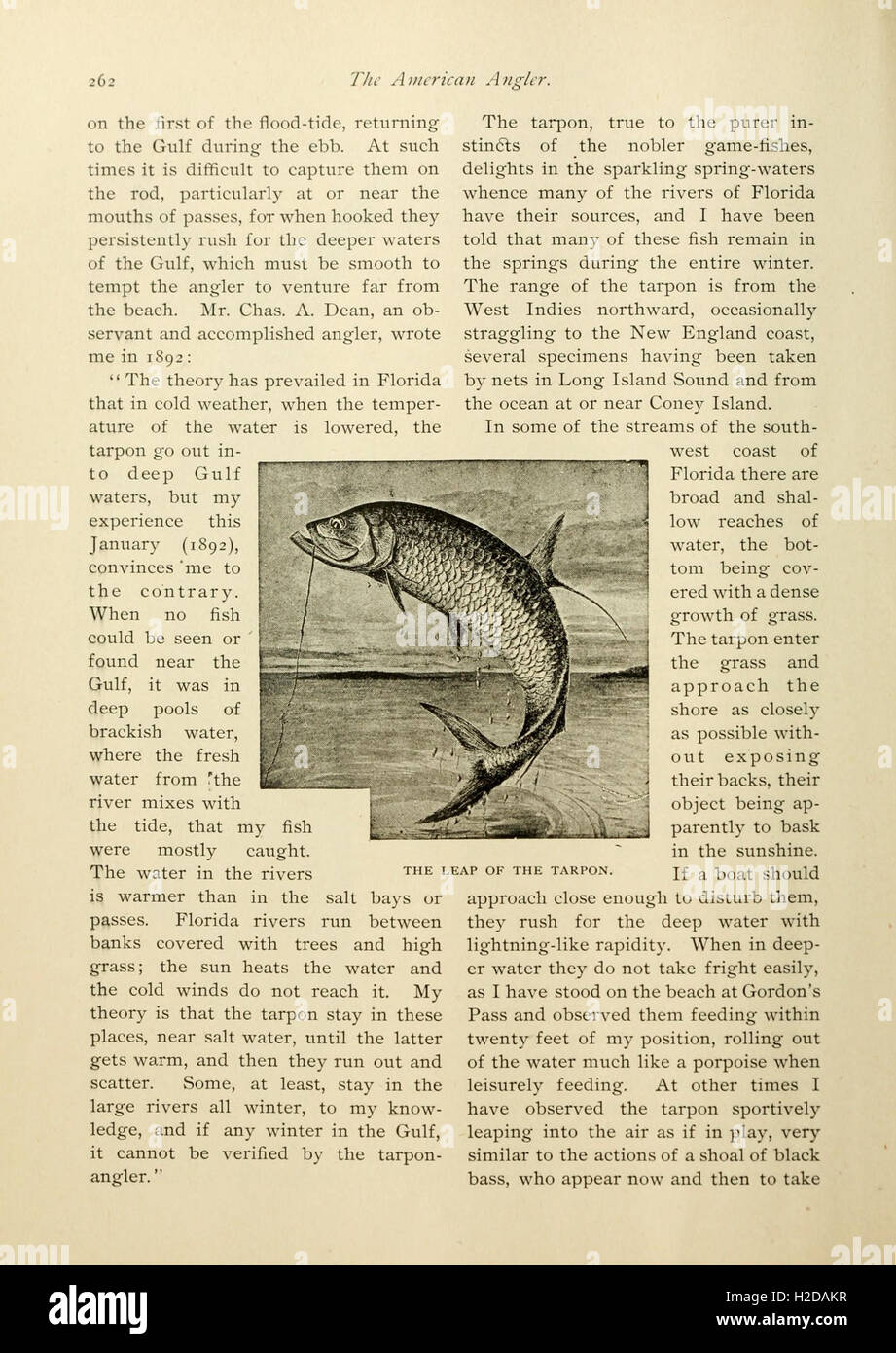 This page of 'The American Angler' presents an illustration and ...