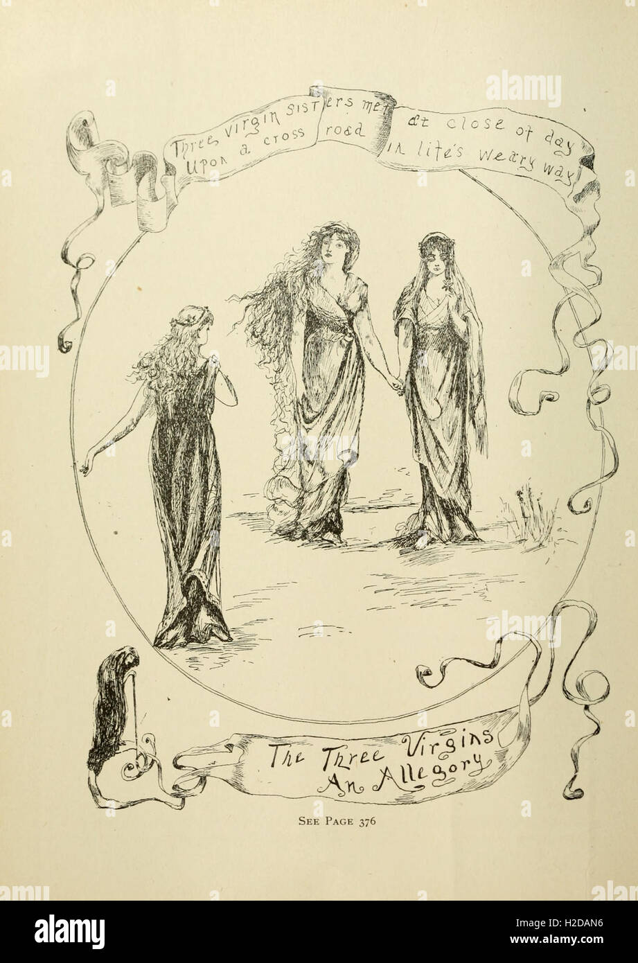 A detailed study on *Balanus crenatus*, a barnacle species ...