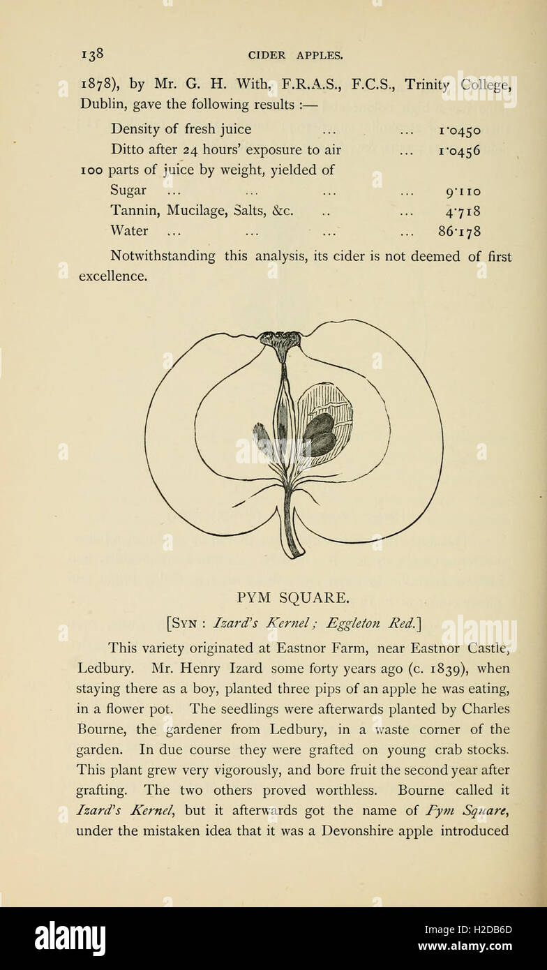 An exploration of apples and pears as vintage fruits, detailing their ...