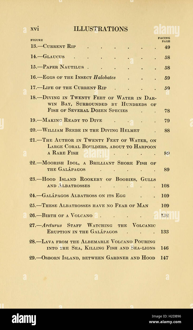 Arcturus adventure hi-res stock photography and images - Alamy