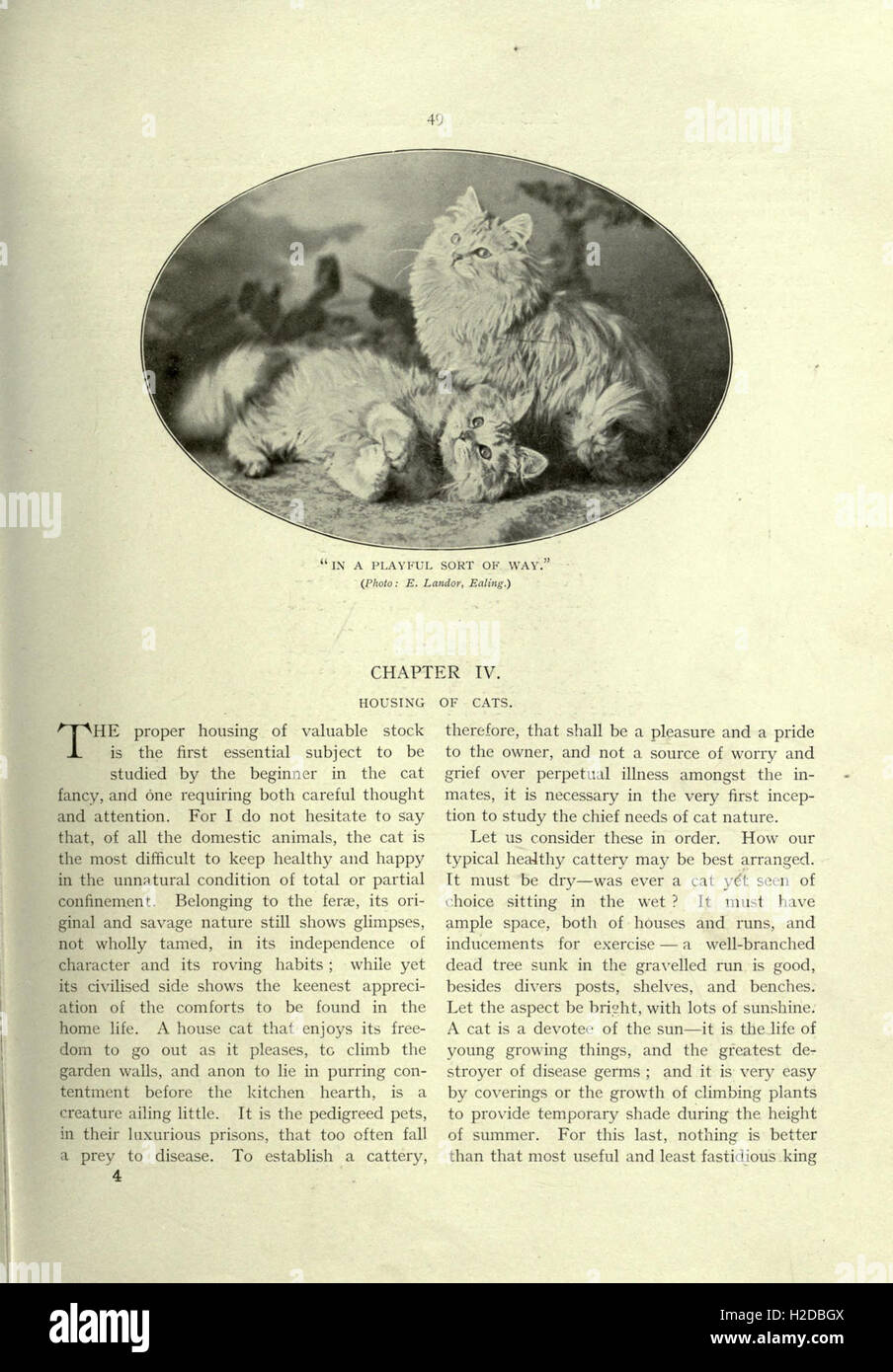 This book explores the history, biology, and behavior of domestic cats ...
