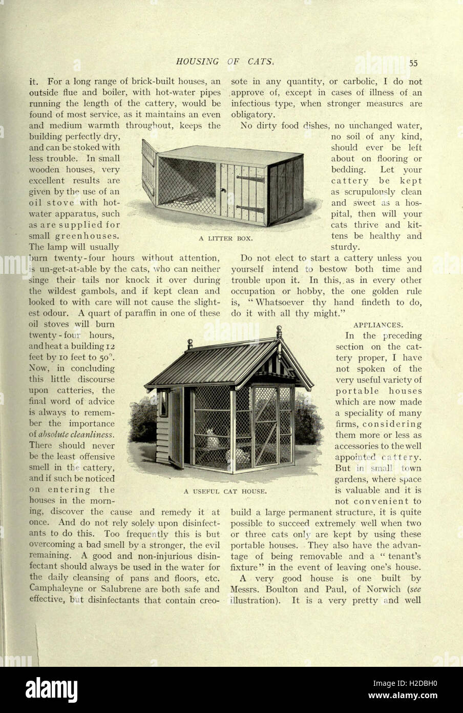 A comprehensive guide to cat breeds, characteristics, and care ...