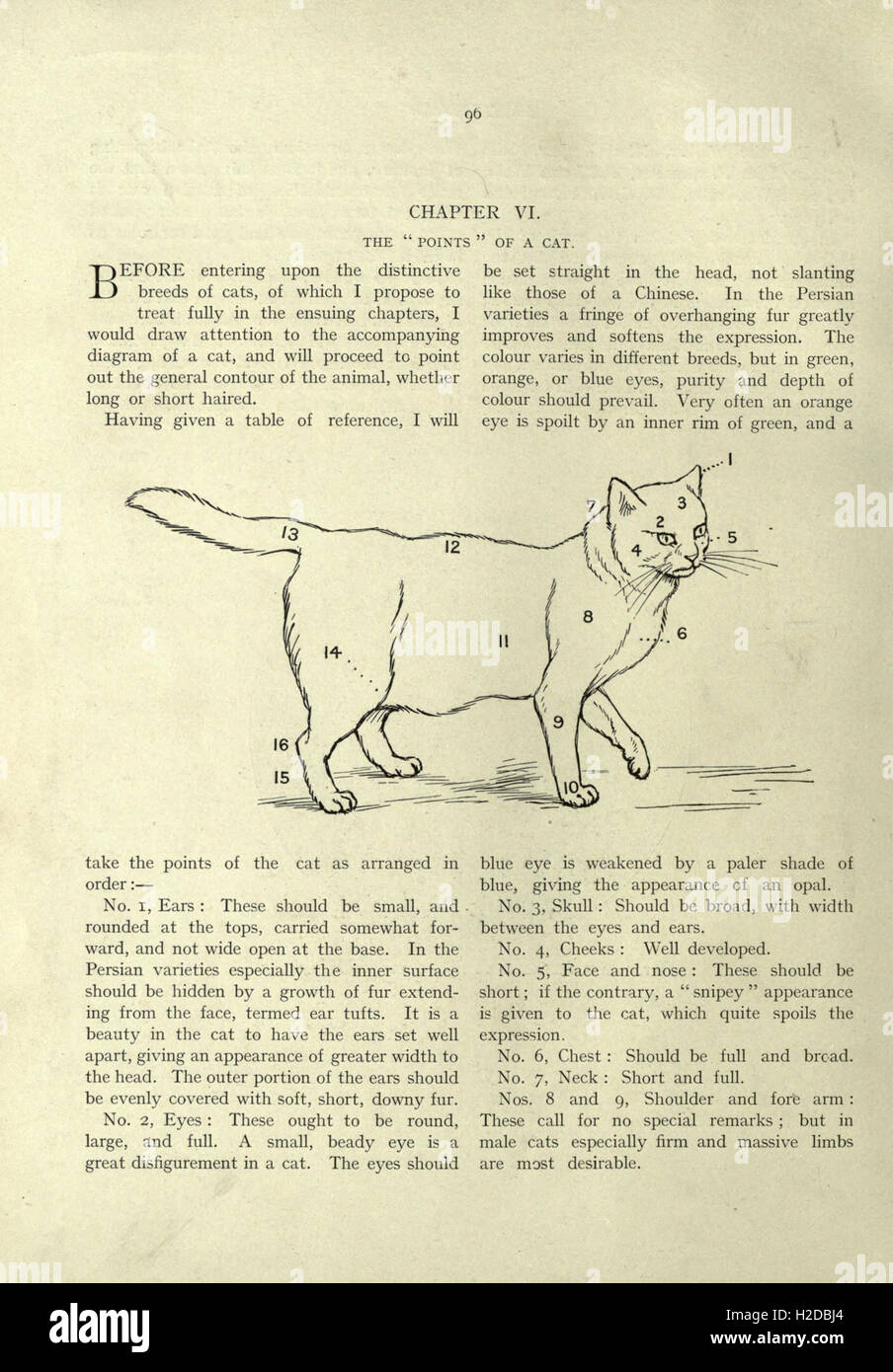 'The Book of the Cat' is a comprehensive guide to the history, behavior ...