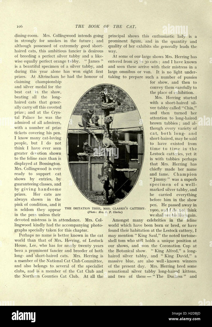 This book presents detailed descriptions and illustrations of different ...