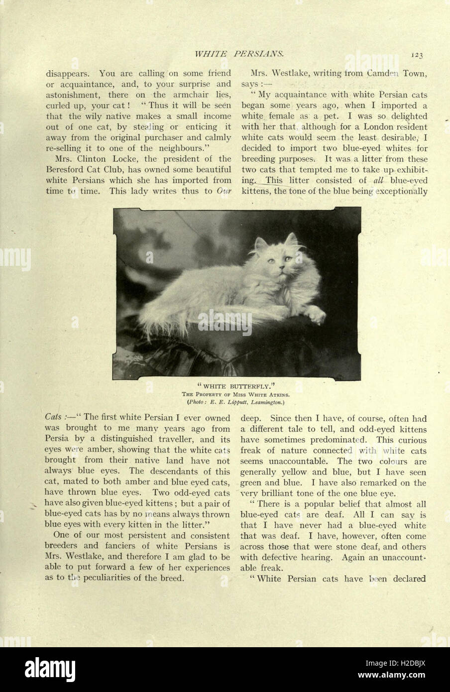 This book provides a comprehensive guide to domestic and wild cat ...