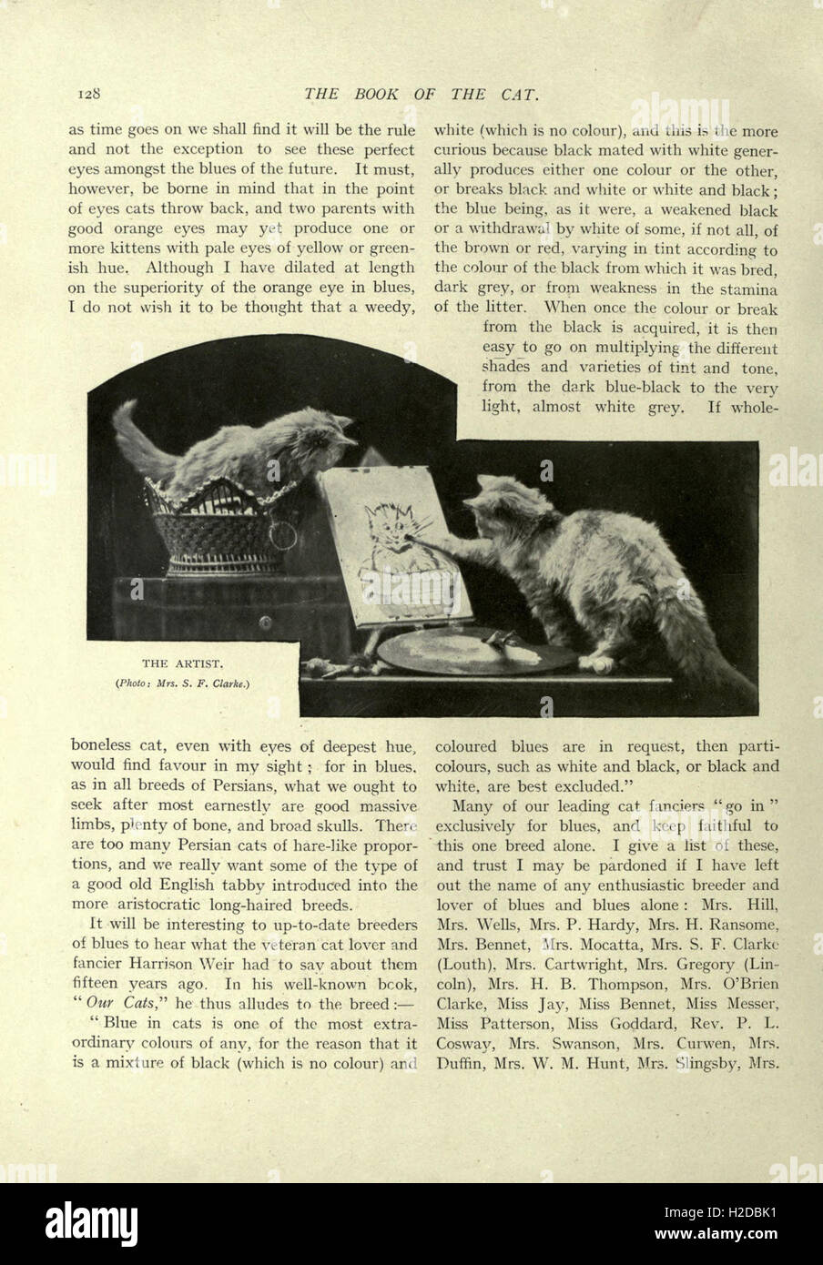 A comprehensive guide on cats, exploring their domestication, breeds ...