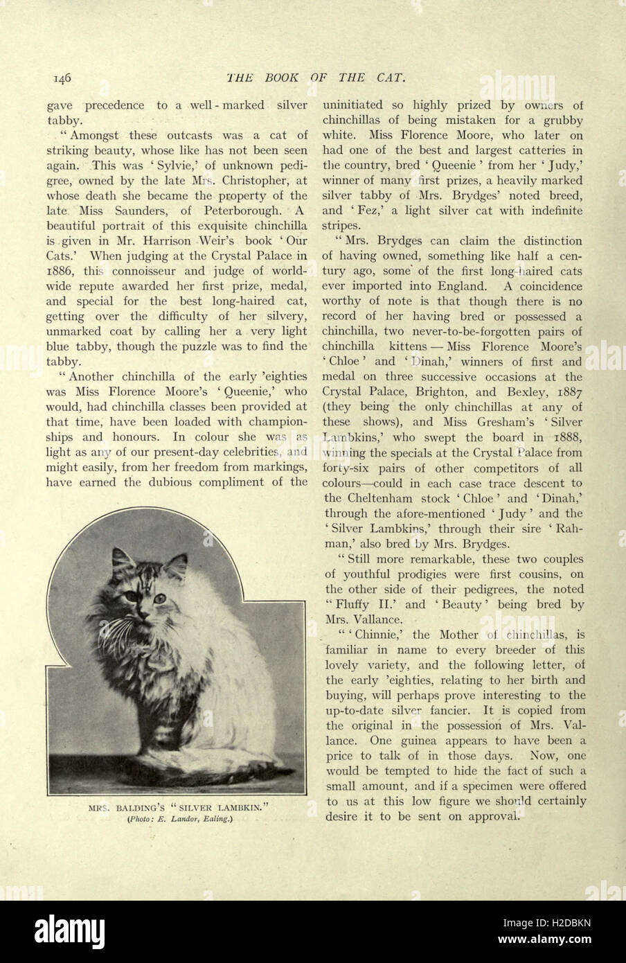A comprehensive guide to domestic cats, including their behavior, care ...