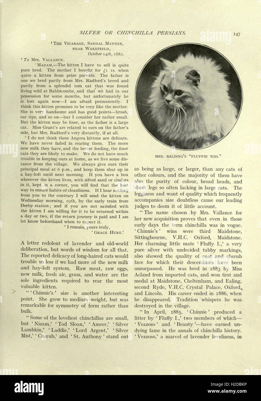 This book explores the domestic cat, its history, breeds, and the ...