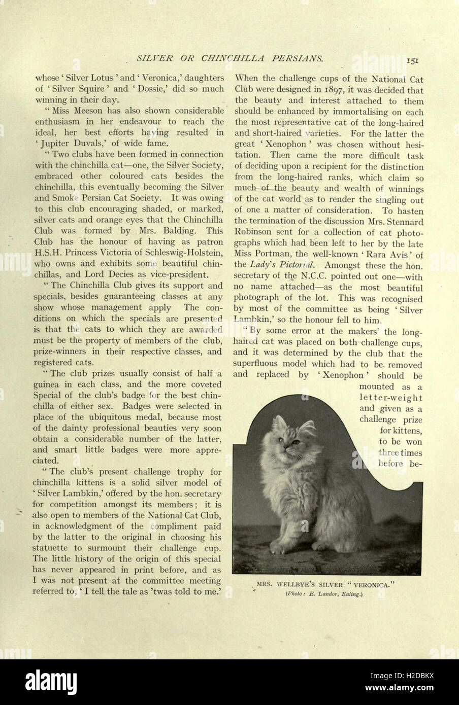 A comprehensive guide to domestic and wild cat species, their behavior ...