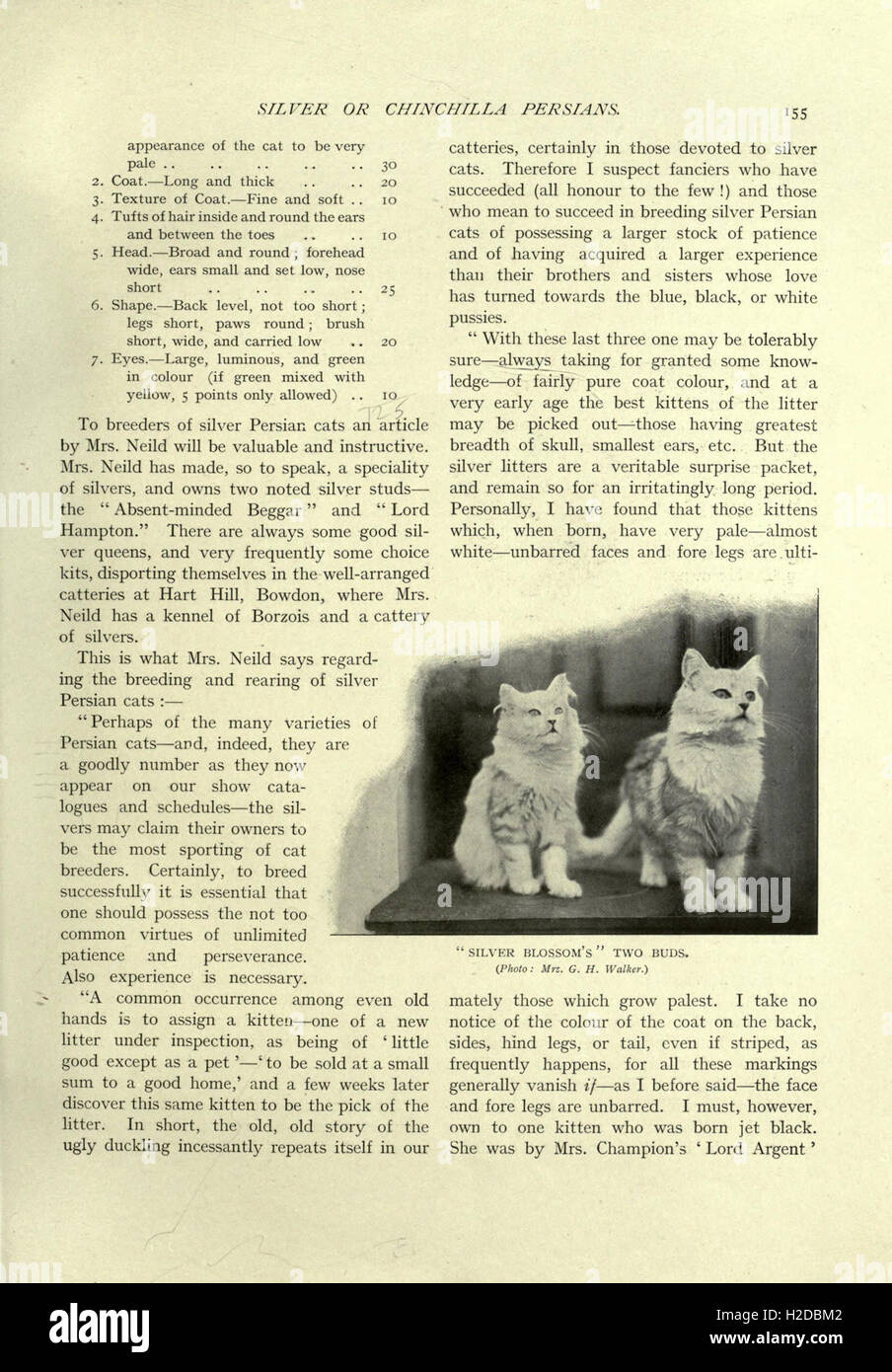 A comprehensive guide to the domestic cat, covering its history ...