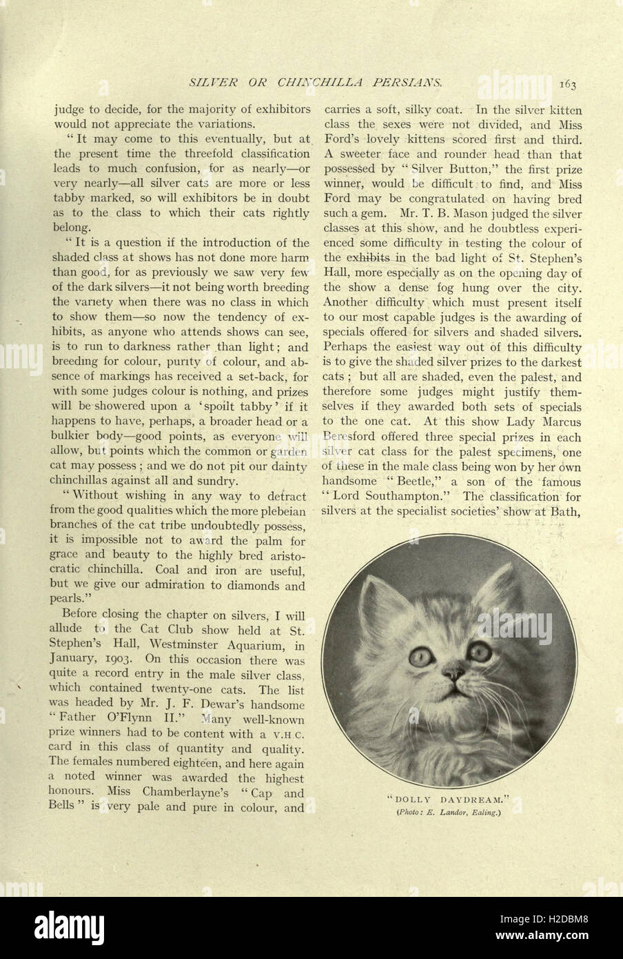 This book provides a comprehensive overview of cats, their species ...