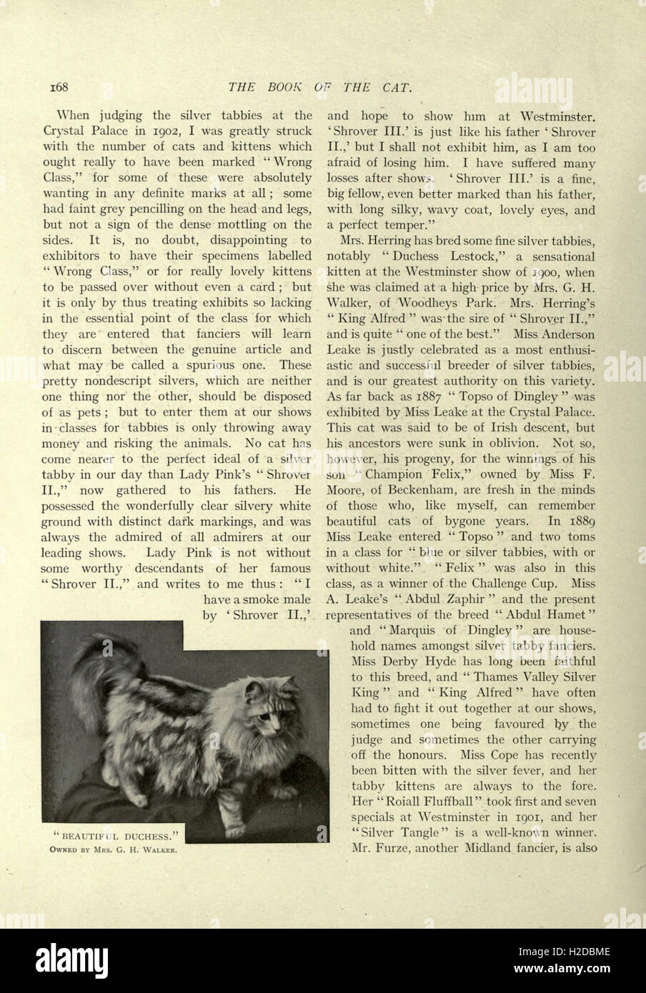 This book offers a comprehensive look at the domesticated cat, its ...
