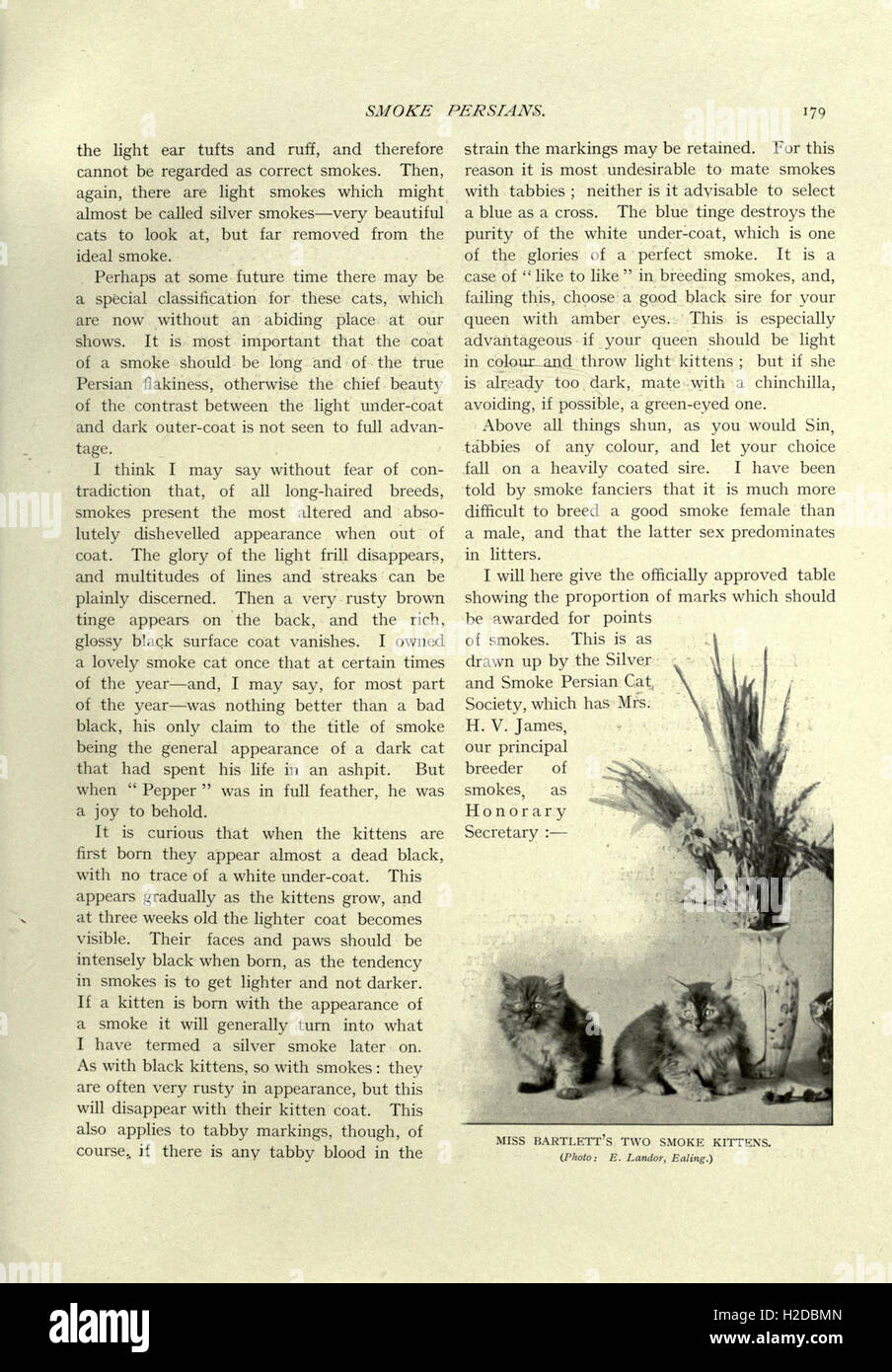 A comprehensive guide on domestic cats, discussing their breeds ...