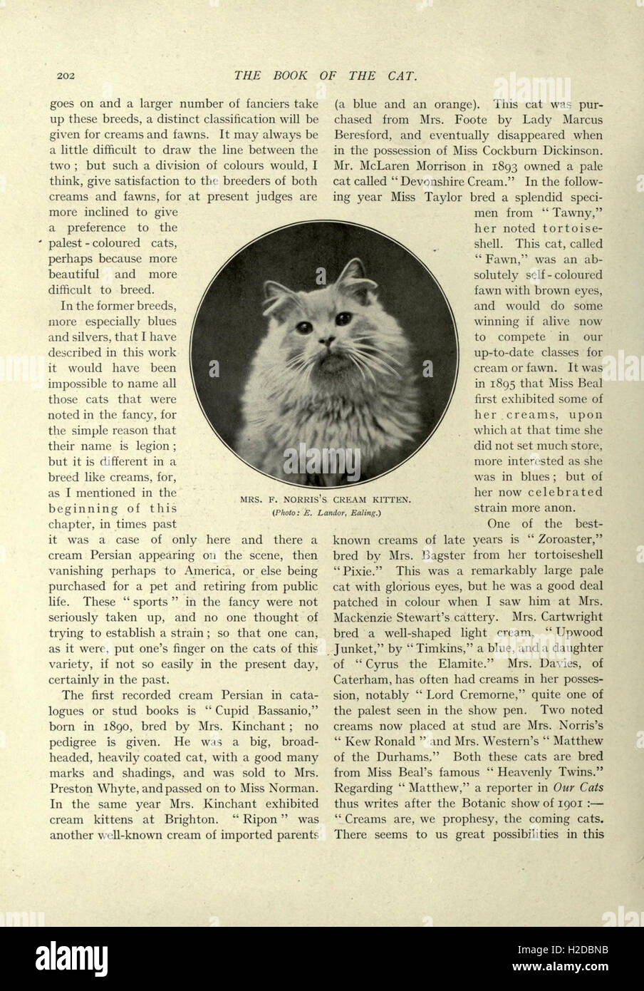 A comprehensive guide to cats, covering their behavior, breeds, care ...