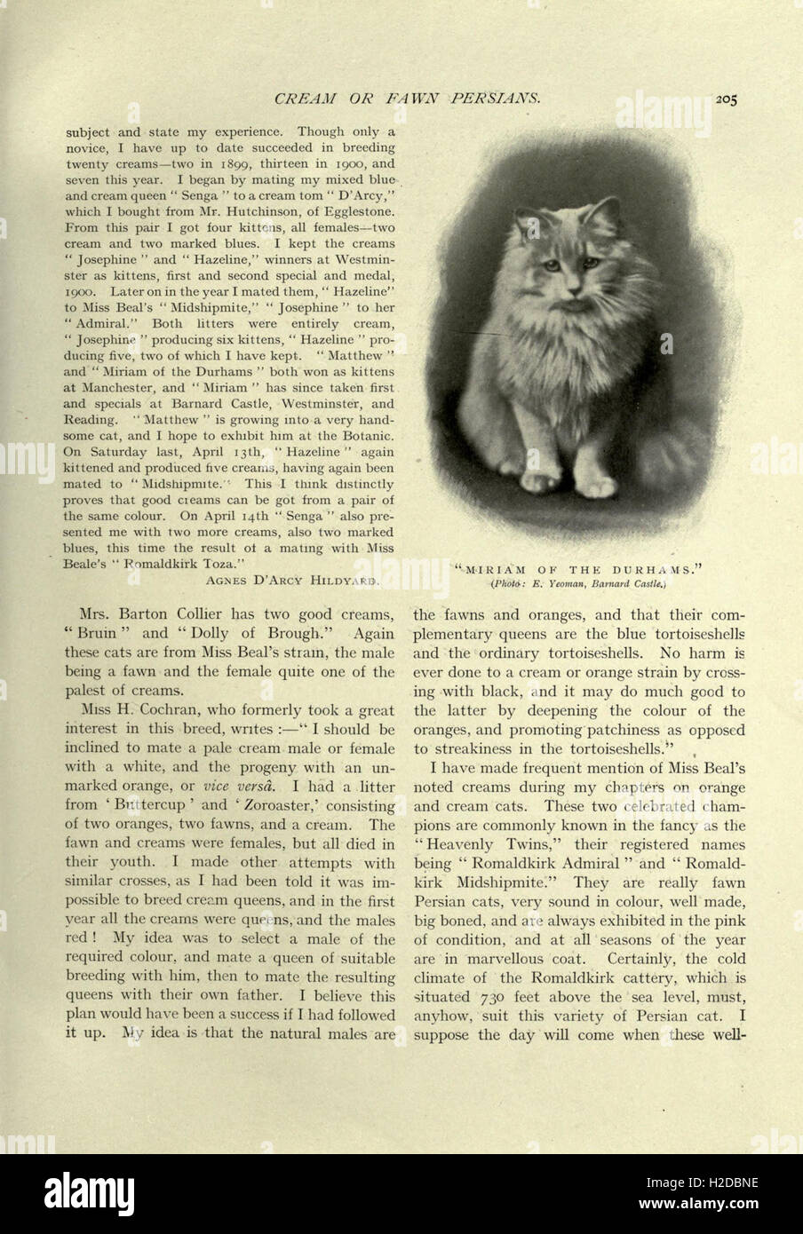 'The Book of the Cat' is a comprehensive guide to domestic cats ...