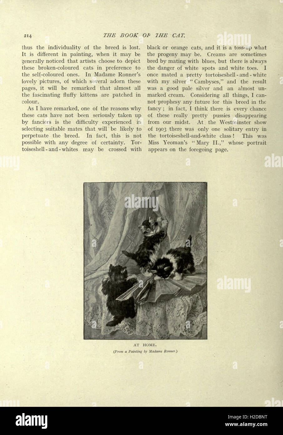 This book provides comprehensive information about cats, including ...