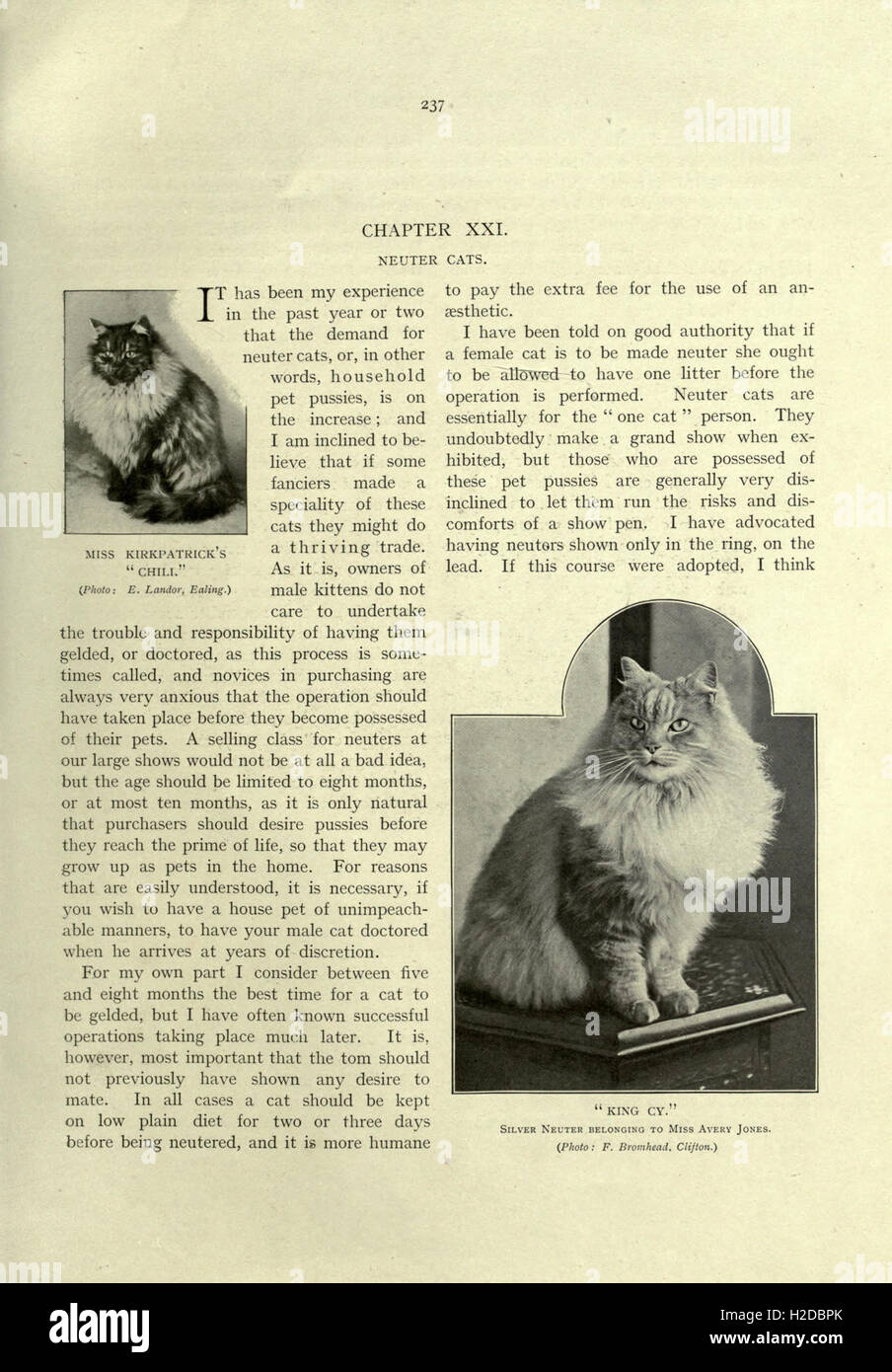 This book provides an in-depth look at the domestic cat, covering its ...