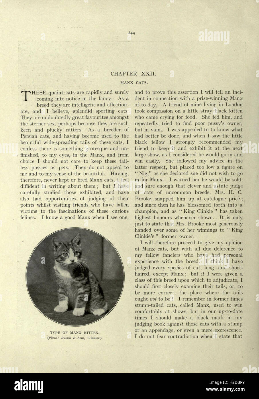 A comprehensive guide to the domestic cat, covering its history ...