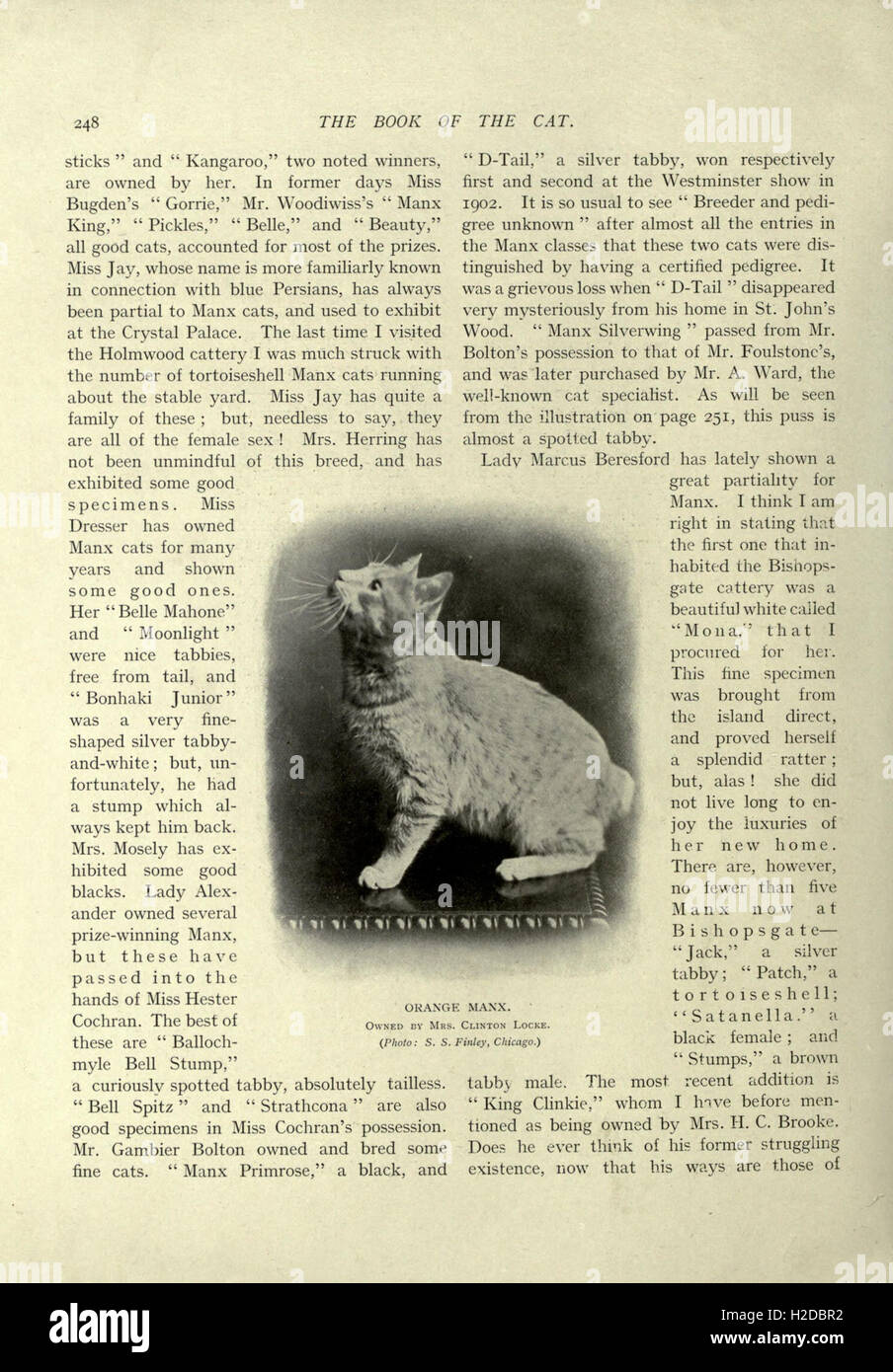 'The Book of the Cat' is a comprehensive guide to domestic cats ...