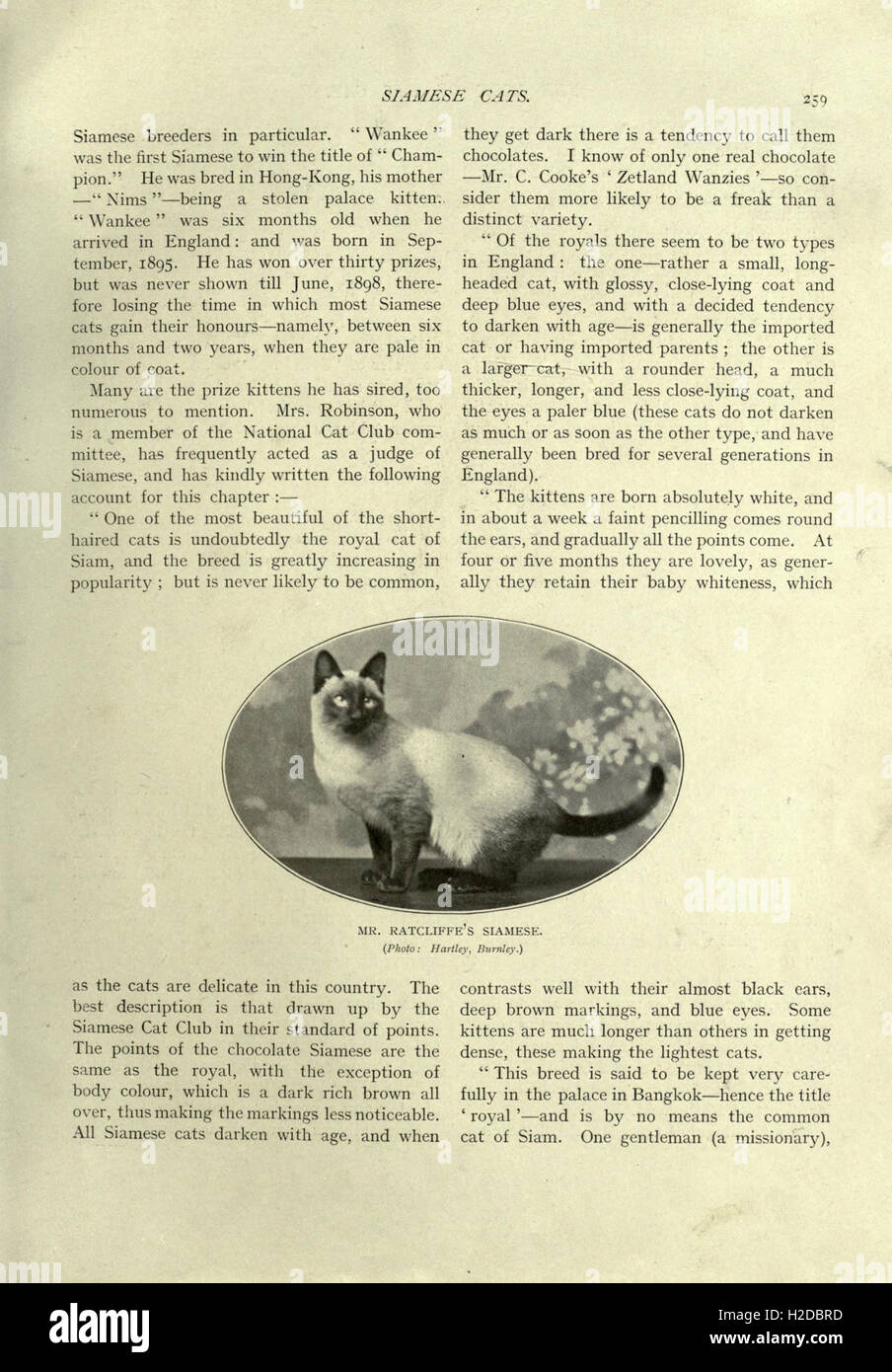 A detailed guide on domestic cats, covering their behavior, history ...