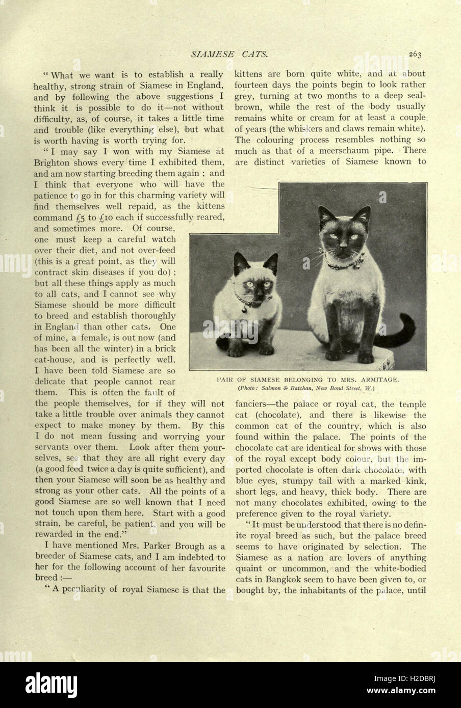 This book provides a comprehensive guide to domestic and wild cats ...
