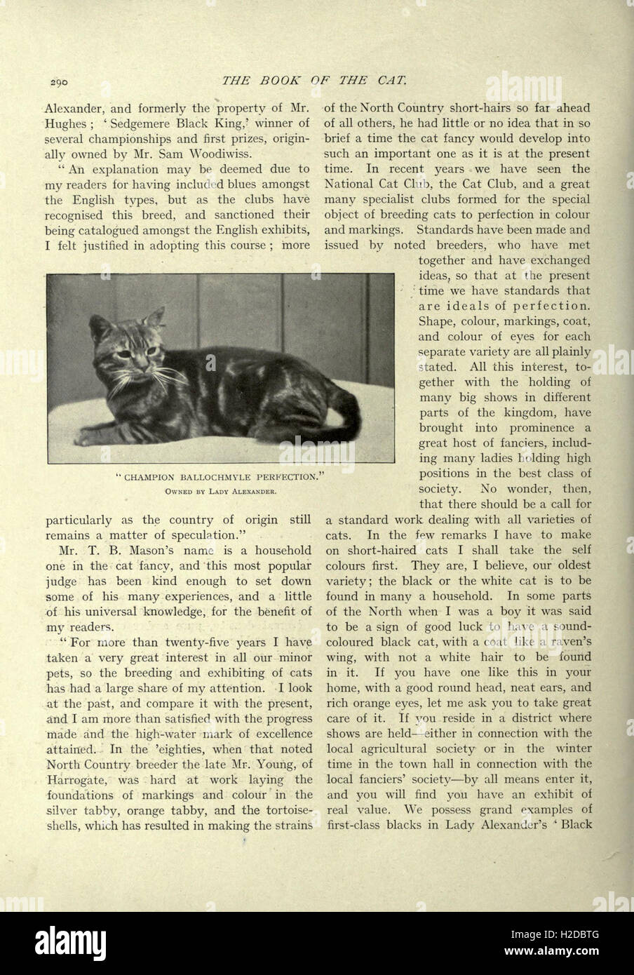 This book offers an in-depth study of domestic cats, covering their ...