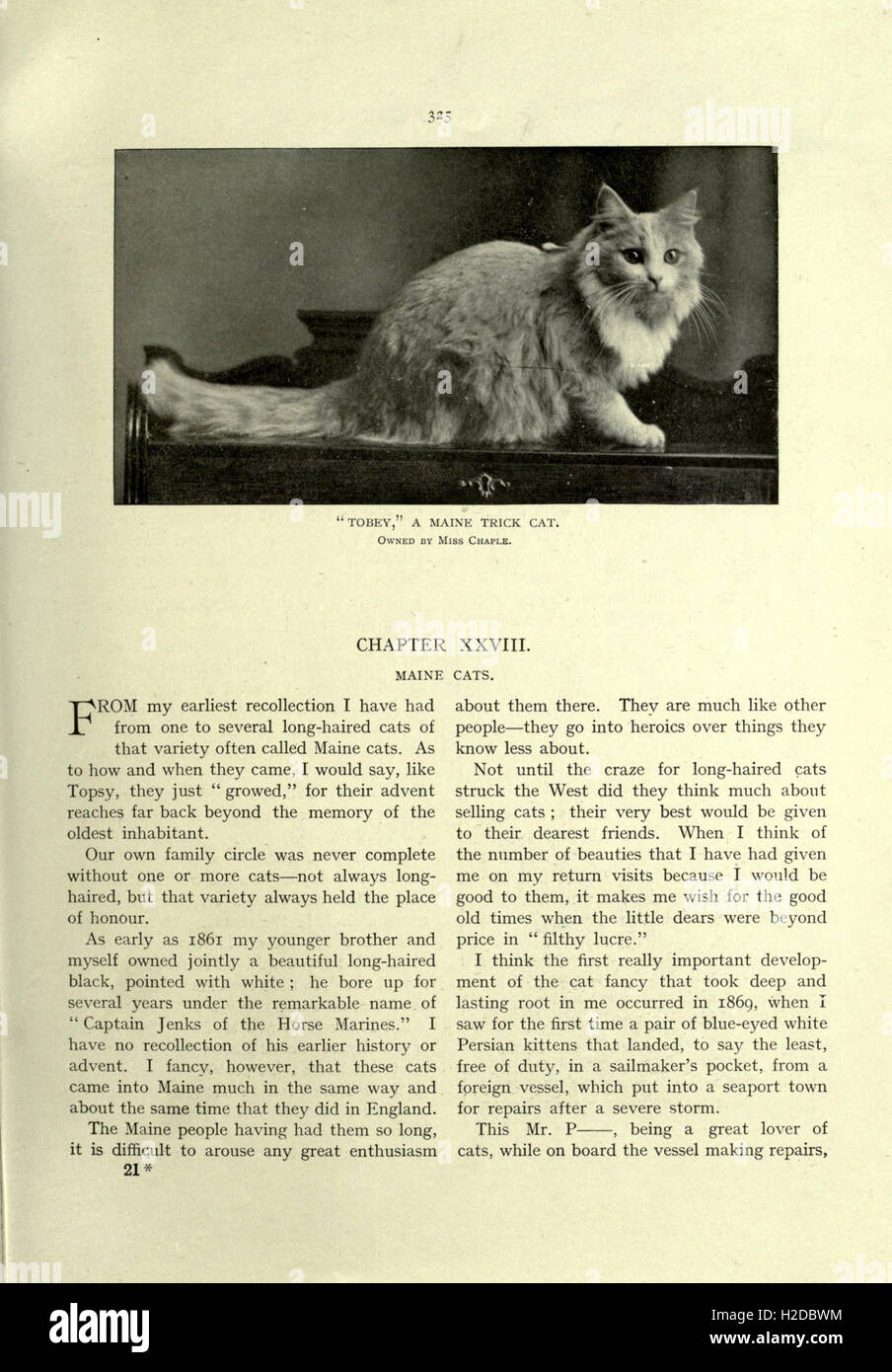 A detailed guide to the care, breeding, and history of cats, covering ...