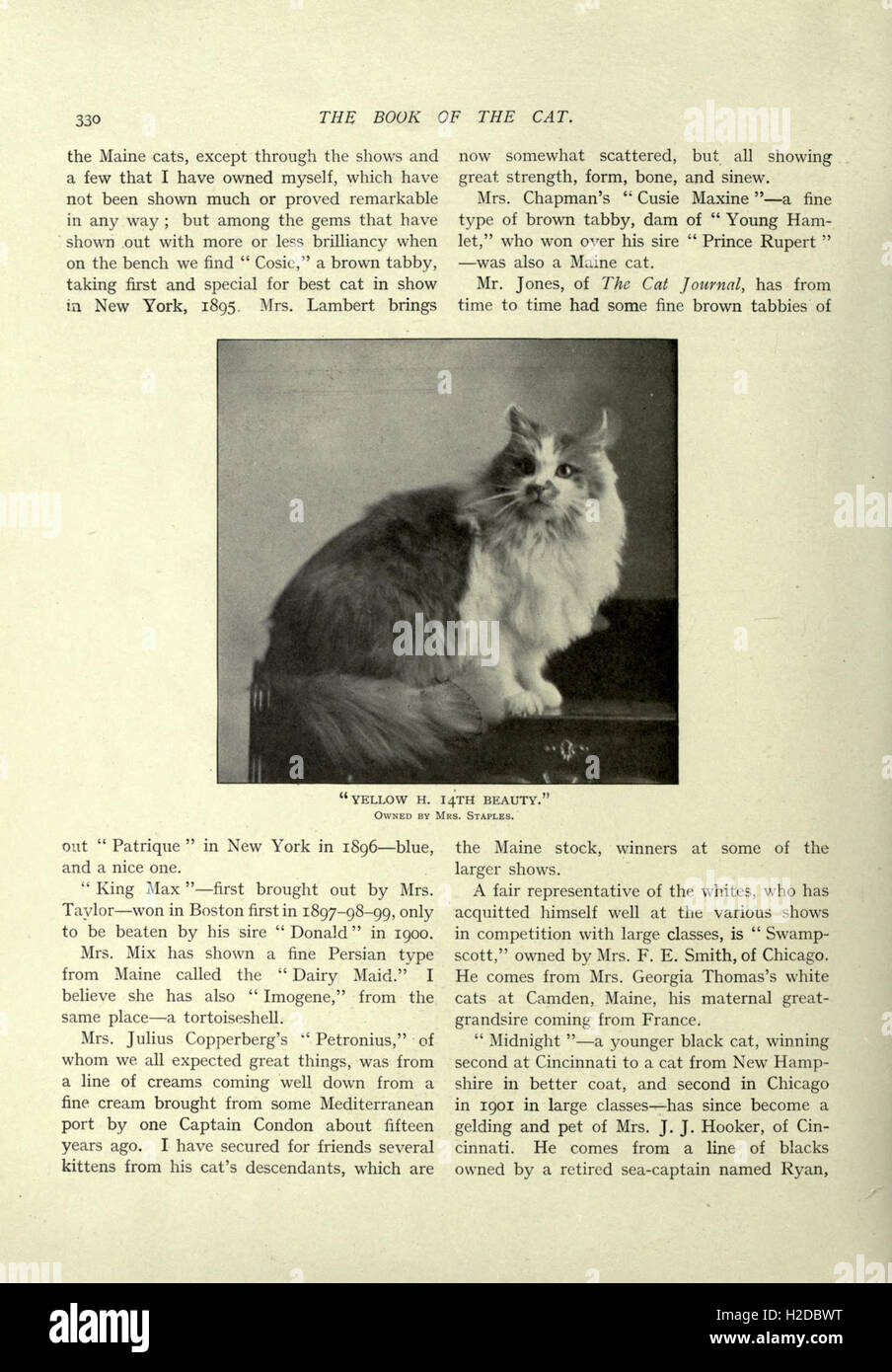 A detailed guide covering various cat species, their history, behavior ...