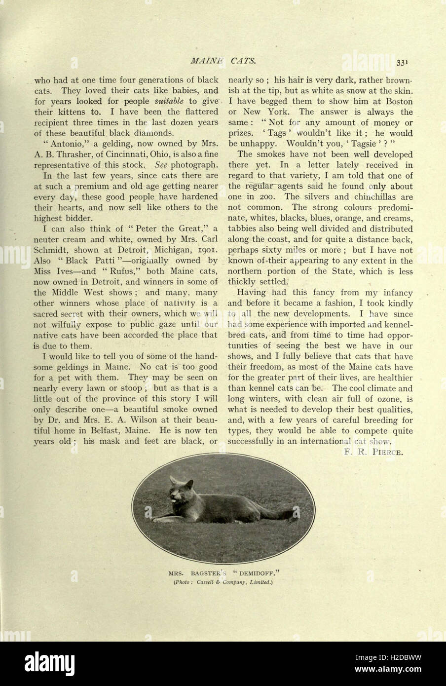 This book offers an in-depth look at the domestic cat, its behavior ...