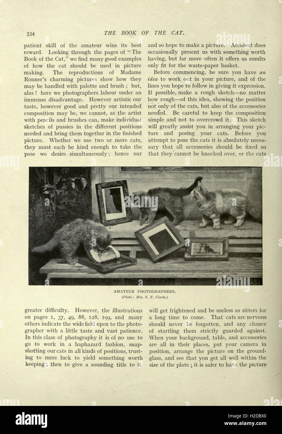 This book is a comprehensive guide to cats, covering their history ...