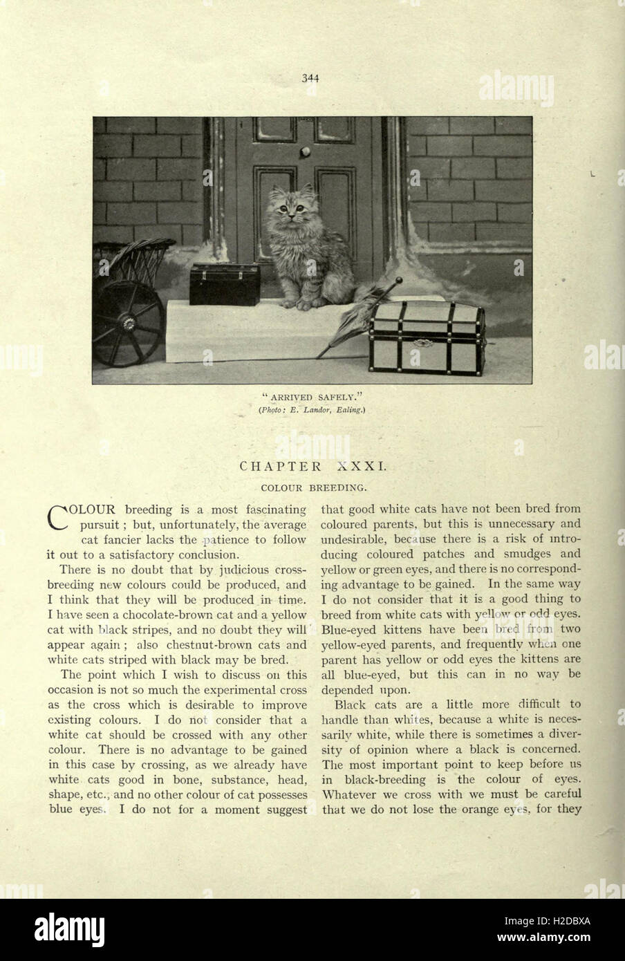 This book provides a comprehensive guide to domestic and wild cats ...