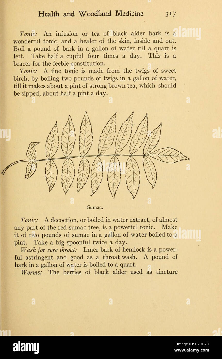 A comprehensive guide to woodcraft and Native American lore, providing ...