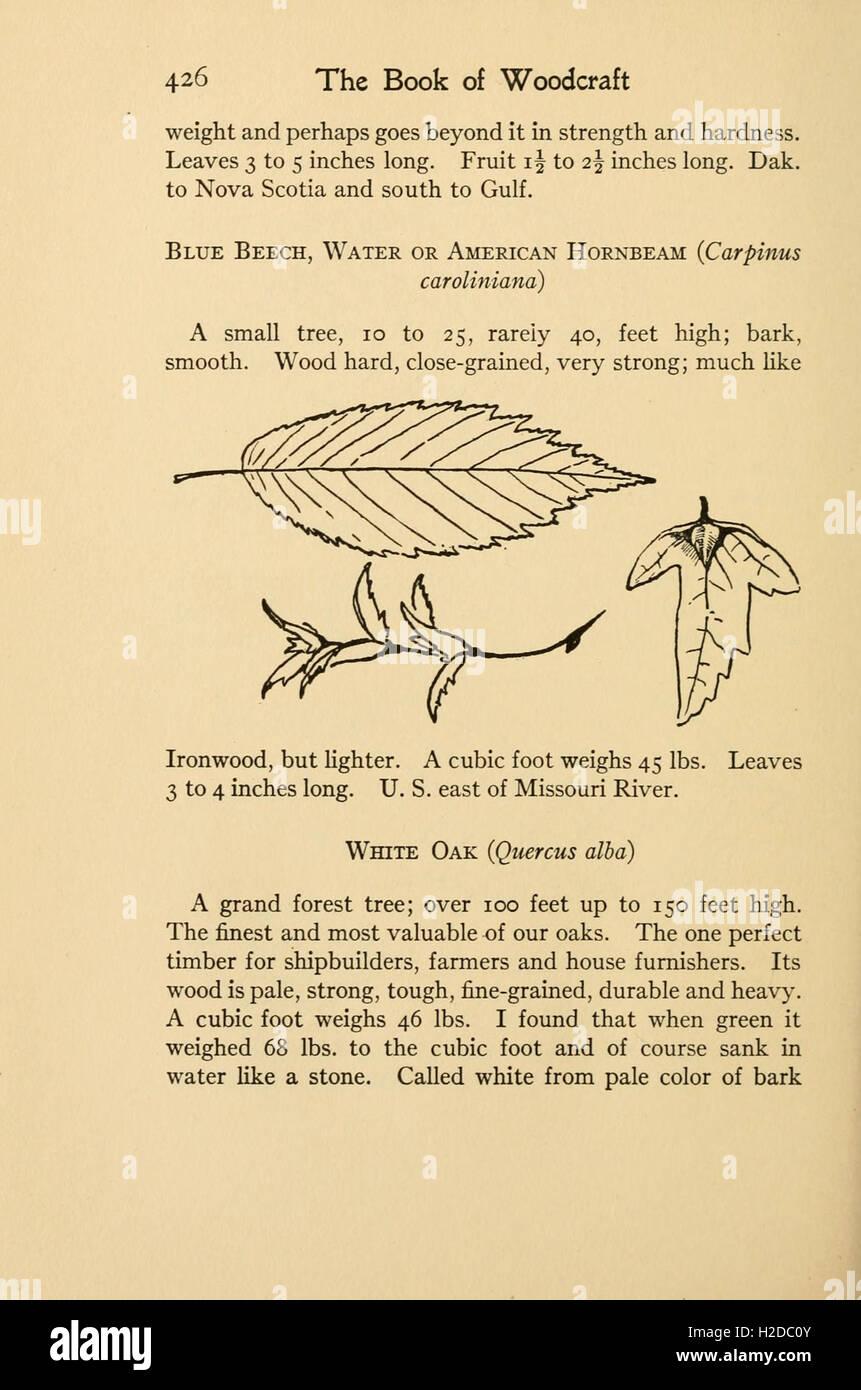 This text explores woodcraft and Native American lore, offering ...