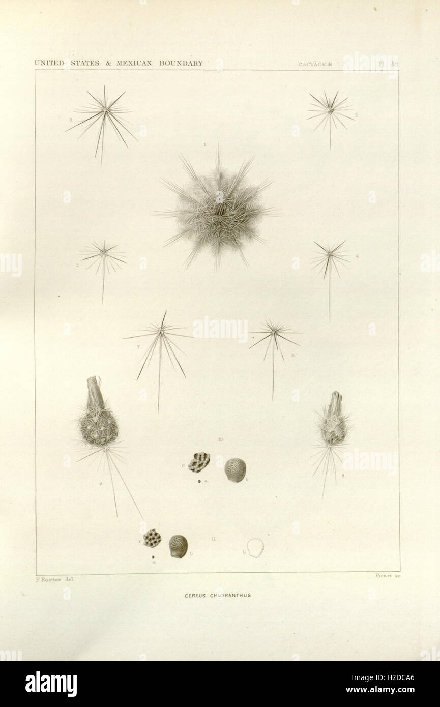 This work compiles the botanical contributions of George Engelmann ...