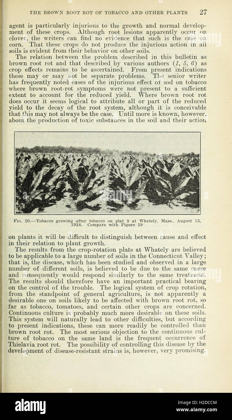 Page 27 discusses the causes and impact of brown root rot, a disease ...